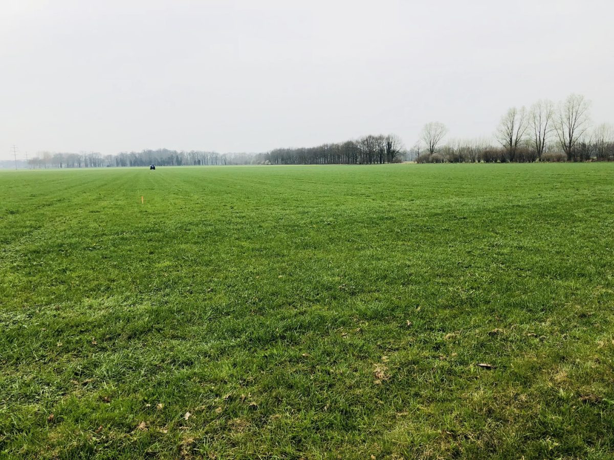 Aanvullende metingen werking Groene Weide Meststof - Kunstmestvrije ...